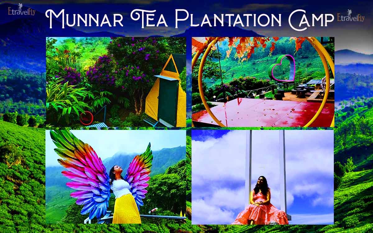 Munnar Tea Plantation Camp - Etravelfly